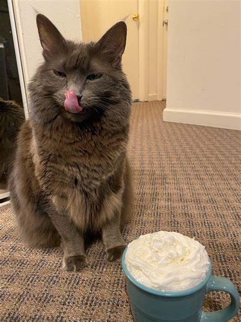 That Tongue Though 👅 Scrolller That Tongue Though 👅 Scrolller