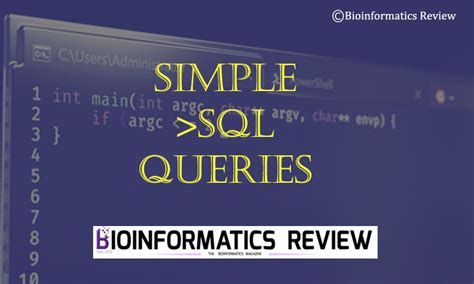 creating data sets using sql queries oracle sql query example xaky
