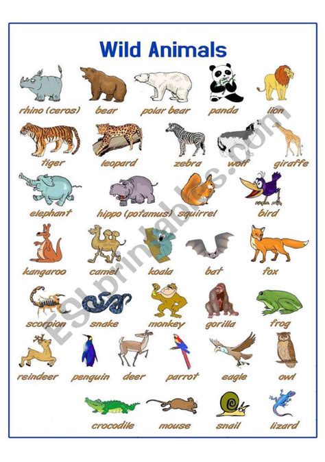Wild Animals Esl Worksheet By Madalina2009