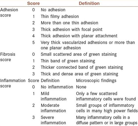 Adhesion Fibrosis And Inflammation Scoring Systems Download