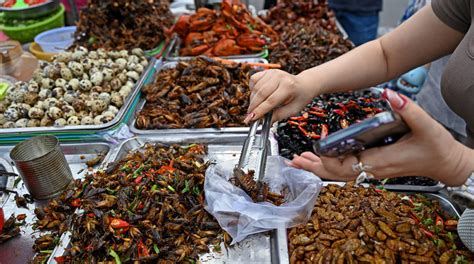 Može Li Konzumiranje Kukaca Djelovati Dobro Na Metabolizam Ezadarhr