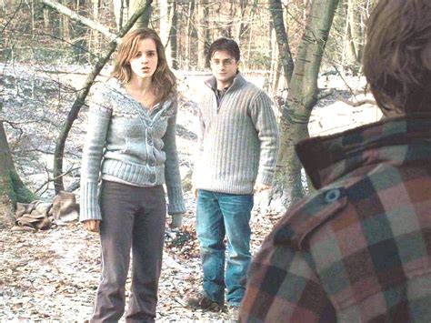 Harry And Hermione Wallpaper Harry And Hermione Wallpaper 25678537