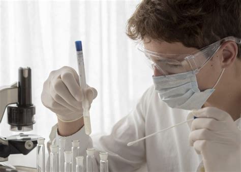 Dna Comparison Test Choice Dna