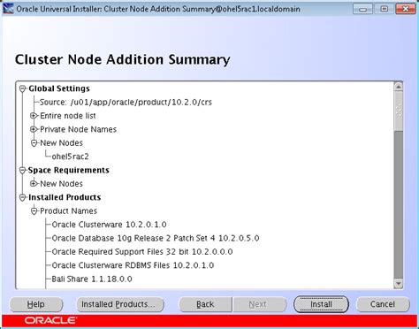 Adding Nodes In Oracle 10gr2 Betterasksam