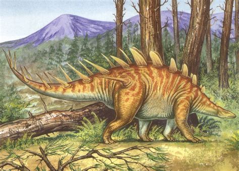 Kentrosaurus Kentrosaurus Dinosaur Grazing Digital Art By Elena Duvernay