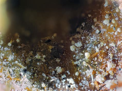 Mineralatlas Lexikon