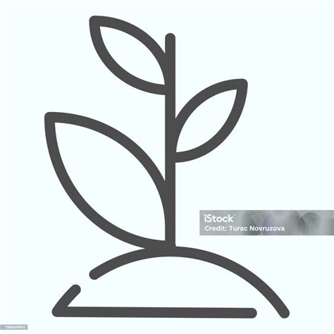 식물 새싹 선 아이콘입니다 성장 줄기 벡터 그림 흰색에 격리 젊은 식물 개요 스타일 디자인 웹 및 응용 프로그램을 위해 설계 Eps 10 0명에 대한 스톡 벡터 아트 및
