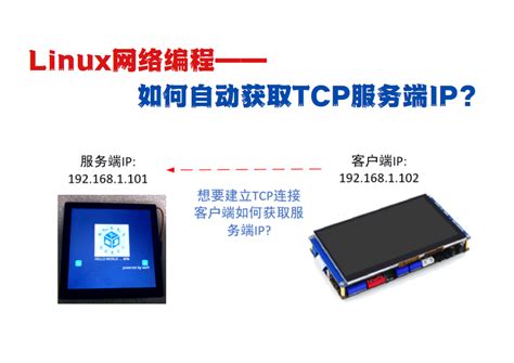 码农爱学习的博客