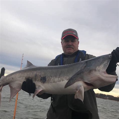 Fish On Line And Fishing Reports Want To Catch A 50 Lb Fish Or Bigger