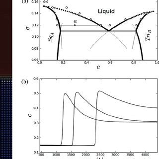 Color Online Eutectic System For Two Structurally Dissimilar Download Scientific Diagram
