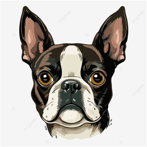 波士頓梗犬的臉 向量 白色背景上的貼紙剪貼畫卡通波士頓梗犬 貼紙 剪貼畫向量圖案素材免費下載PNGEPS和AI素材下載 Pngtree