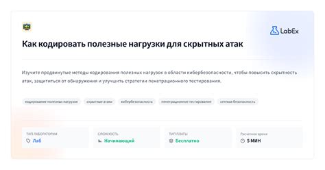 Как кодировать полезные нагрузки для скрытных атак Labex