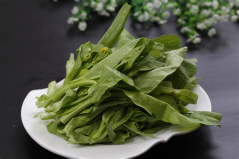 白菜苔图片素材 白菜苔设计素材 白菜苔摄影作品 白菜苔源文件下载 白菜苔图片素材下载 白菜苔背景素材 白菜苔模板下载 搜索中心