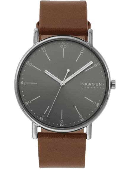 Buy Skagen Watches For Men And Women In India Swiss Time House