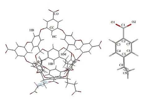 The Atom Names Used For The Host And The Guest Molecules As Well As
