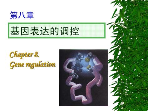 第八章原核生物基因表达的调控 1word文档在线阅读与下载无忧文档