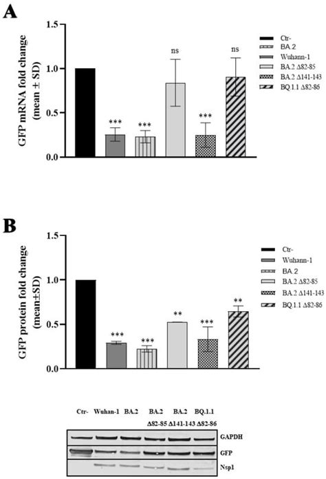 Viruses An Open Access Journal From Mdpi