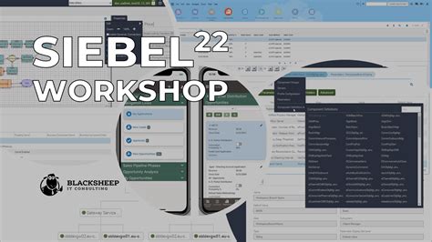 Siebel 22 Workshop Blacksheep It Consulting