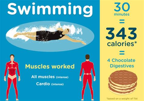 The Olympic Sports That Burn The Most Calories