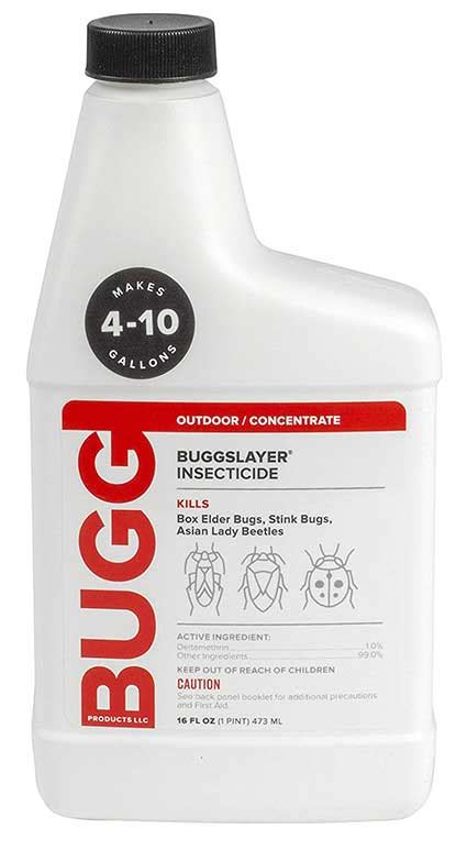Crane Flies Vs Mosquitos Whats The Difference Pest Control Gurus
