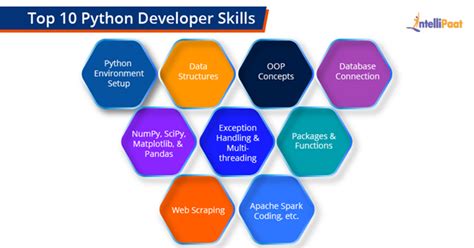 Top Python Developer Skills UPDATED Intellipaat Blog