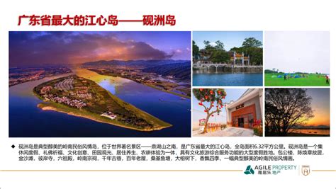 “肇慶雅居樂香港城”中發睇樓 日日出發 中發地產助你灣區置業