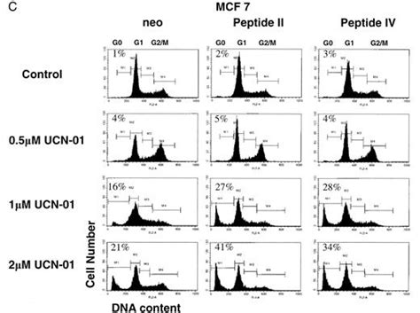 Activating Transcription Factor 2 Derived Peptides Alter Resistance Of