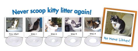 CitiKitty Cat Toilet Training Kit – CitiKitty Inc.