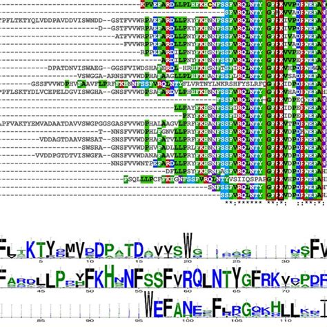 multiple allignment of protein sequence and dna binding domain dbd of