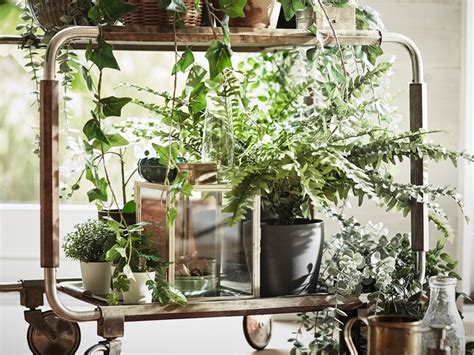 Fejka نبات صناعي في آنية داخليخارجي نبات السرخس 15 سم Ikea