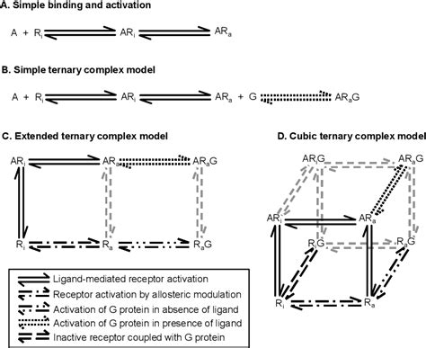 Gpcr Signaling Pathway Semantic Scholar