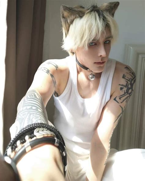 唯安vann On Twitter 据说猫咪喜欢和信任你的时候会让你摸它的肚子。 B4ilprl6im