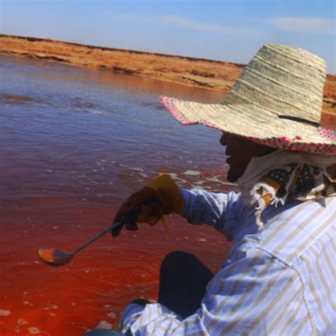 Addis Simachew Assistant Professor Phd Addis Ababa University Addis Ababa Aau