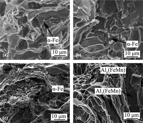 Morphologies Of Fe Rich Intermetallics In Fracture Surfaces Of Alloys Download Scientific