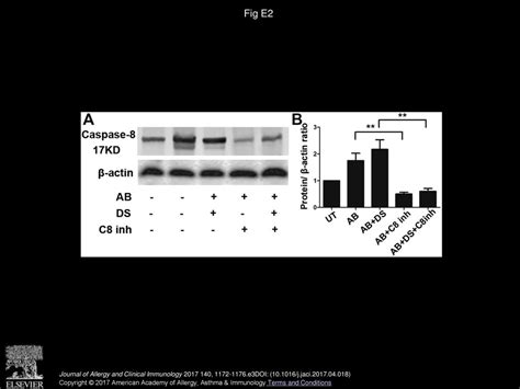 Desiccating Stress Worsens Alkali Burn Injury By Magnifying Caspase 8