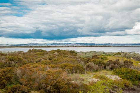 Coastal Protection Mapping Ocean Wealth