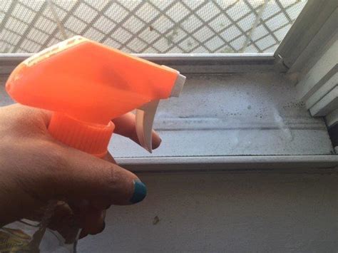 How To Clean Ugly Looking DIRTY Window Tracks Effectively