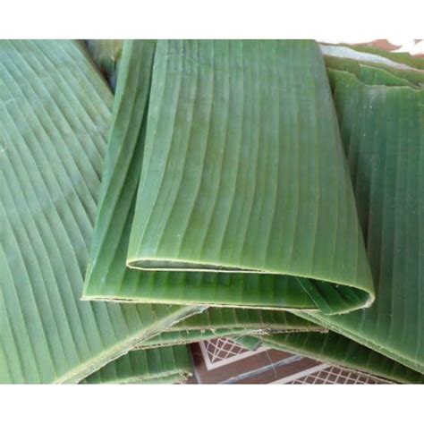 Jual Daun Pisang Per Ikat Sayur Segar Palembang Shopee Indonesia