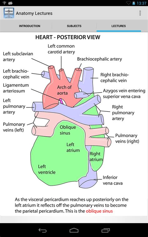 Anatomy Lectures APK For Android Download