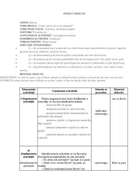 Gradinita Proiect Didactic Doc