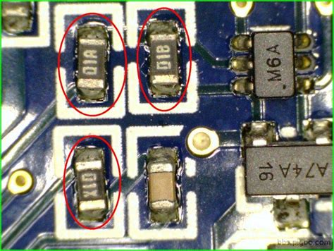 Smd Pigoo Powered By Discuz