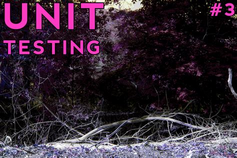 Utilizing The Heap In Assembly How Can You Conduct Unit Tests On A