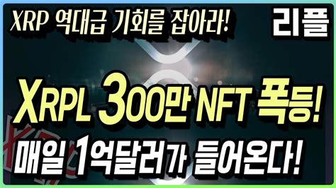 리플 Xrp Xrpl 300만 Nft 폭등 매일 1억달러가 들어온다 리플 리플전망 리플코인 Youtube
