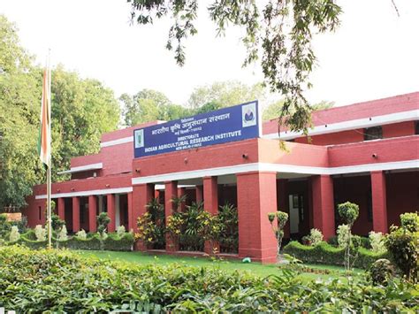 Icar Iari Recruitment 2022 Apply For Senior Research Fellow And Lab
