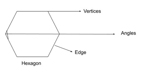 Explore Polygons Shapes Definitions And Formulas Your Polygonal Guide