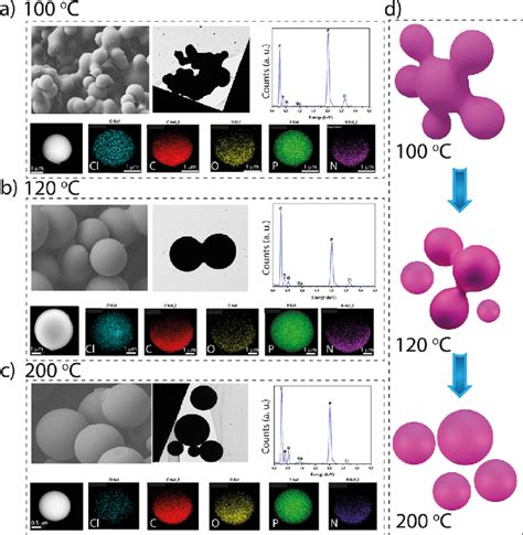 SEM TEM Images TEM EDS Spectra Elemental Mapping Images Of N O C