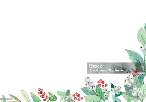 나뭇 가지와 붉은 열매 꽃 수채화 겨울 배너입니다 인사말 카드 프레임 초대장 템플릿에 대한 식물 디자인 그림 수채화에 대한 스톡 벡터 아트 및 기타 이미지 Istock