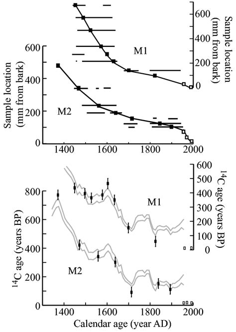 Growth Models Upper Graph And Radiocarbon Wiggle Match Dating Lower
