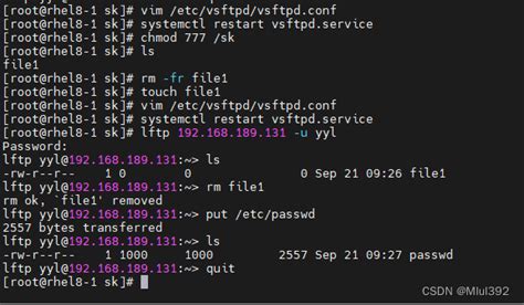Vsftpd服务的部署及优化vsftpd部署 Csdn博客