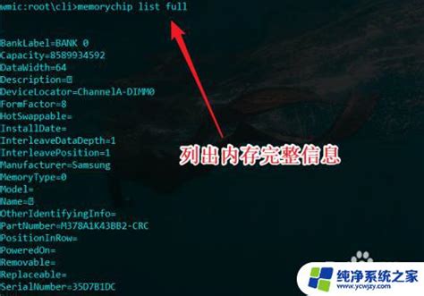 Cmd查看内存命令cmd命令提示符下获取内存信息的方法 纯净系统之家